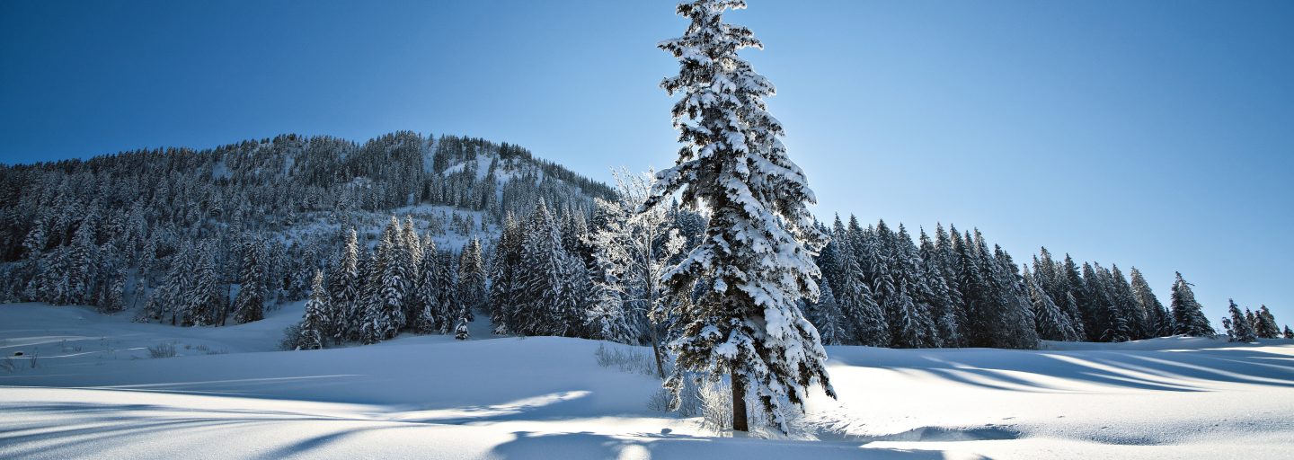 Öffnungszeiten Maria Empfängnis