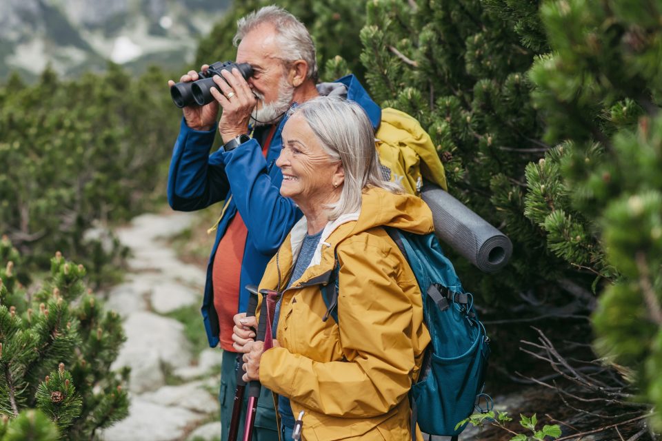 Pensionskasse und Säule 3a